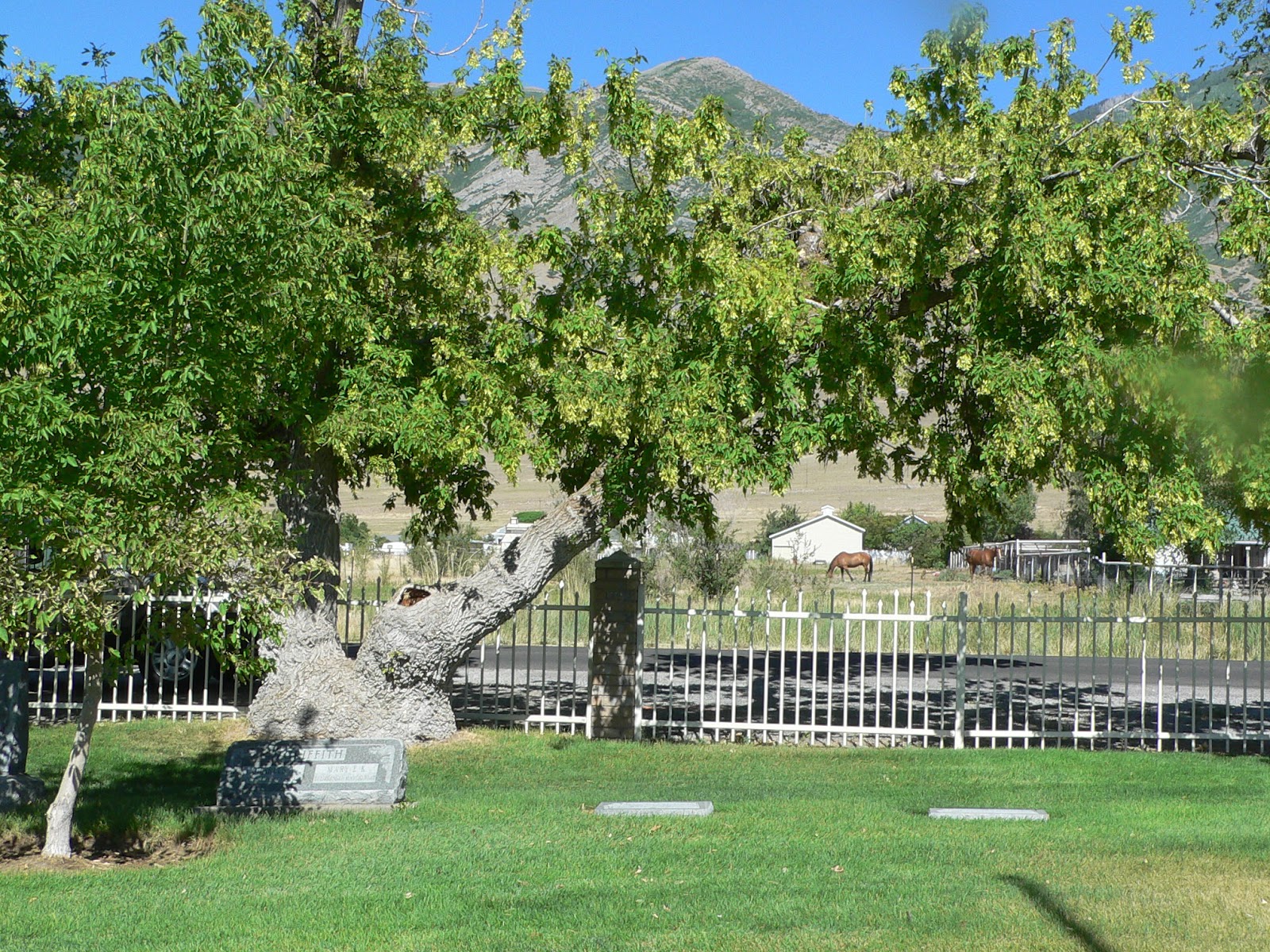 Ancestral Ties: Trip to Lake Point, Utah concluded.
