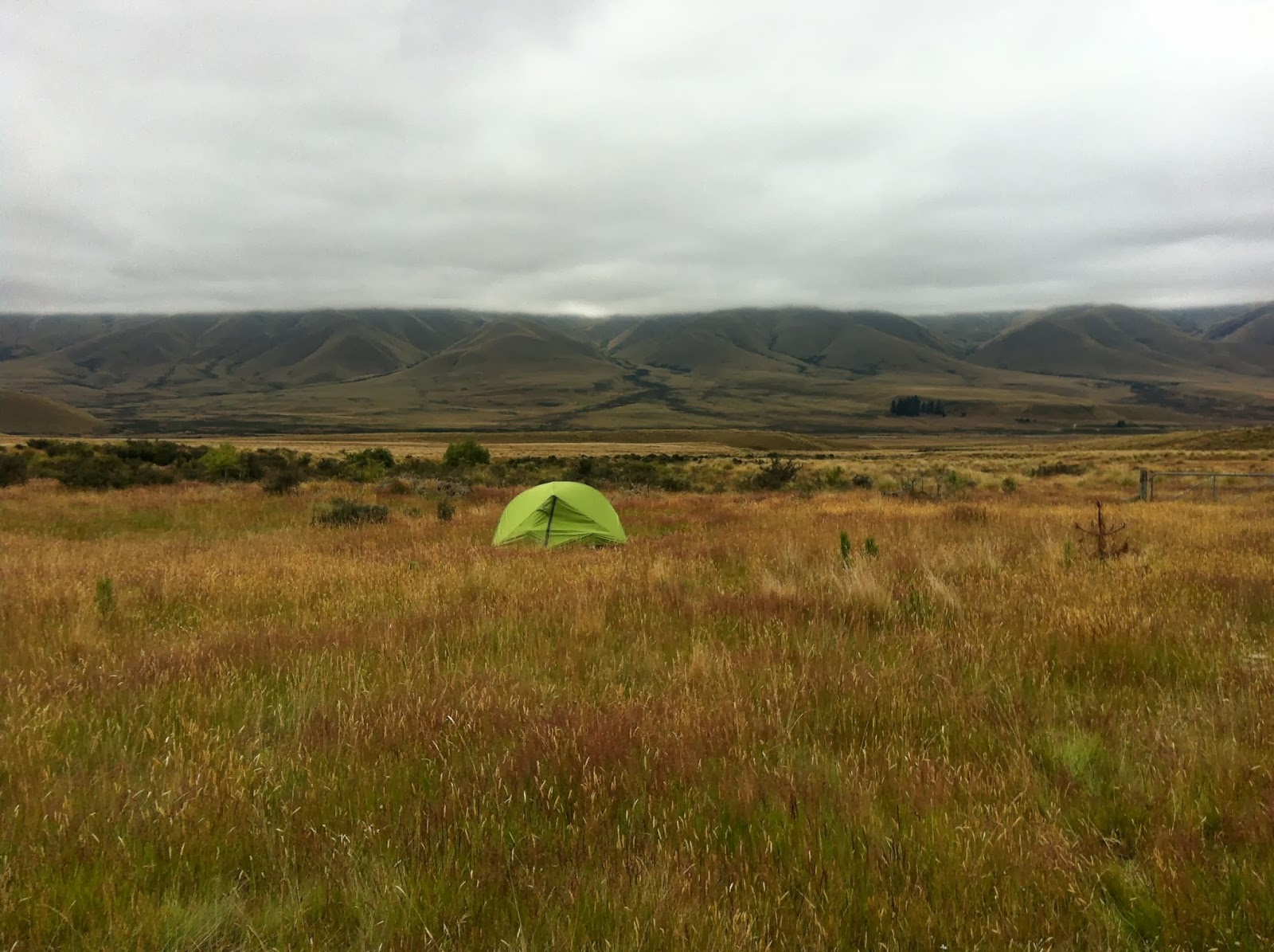 reserealism: tackar bugar och bockar