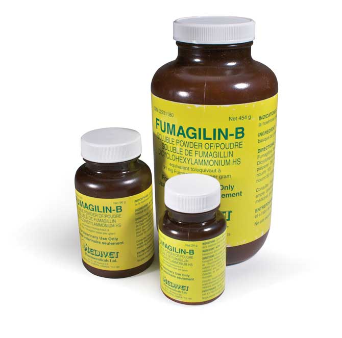 Φουμιντίλ για τη νοζεμίαση: Το απαγορευμένο σκεύασμα, Δείτε τι μπορεί ...