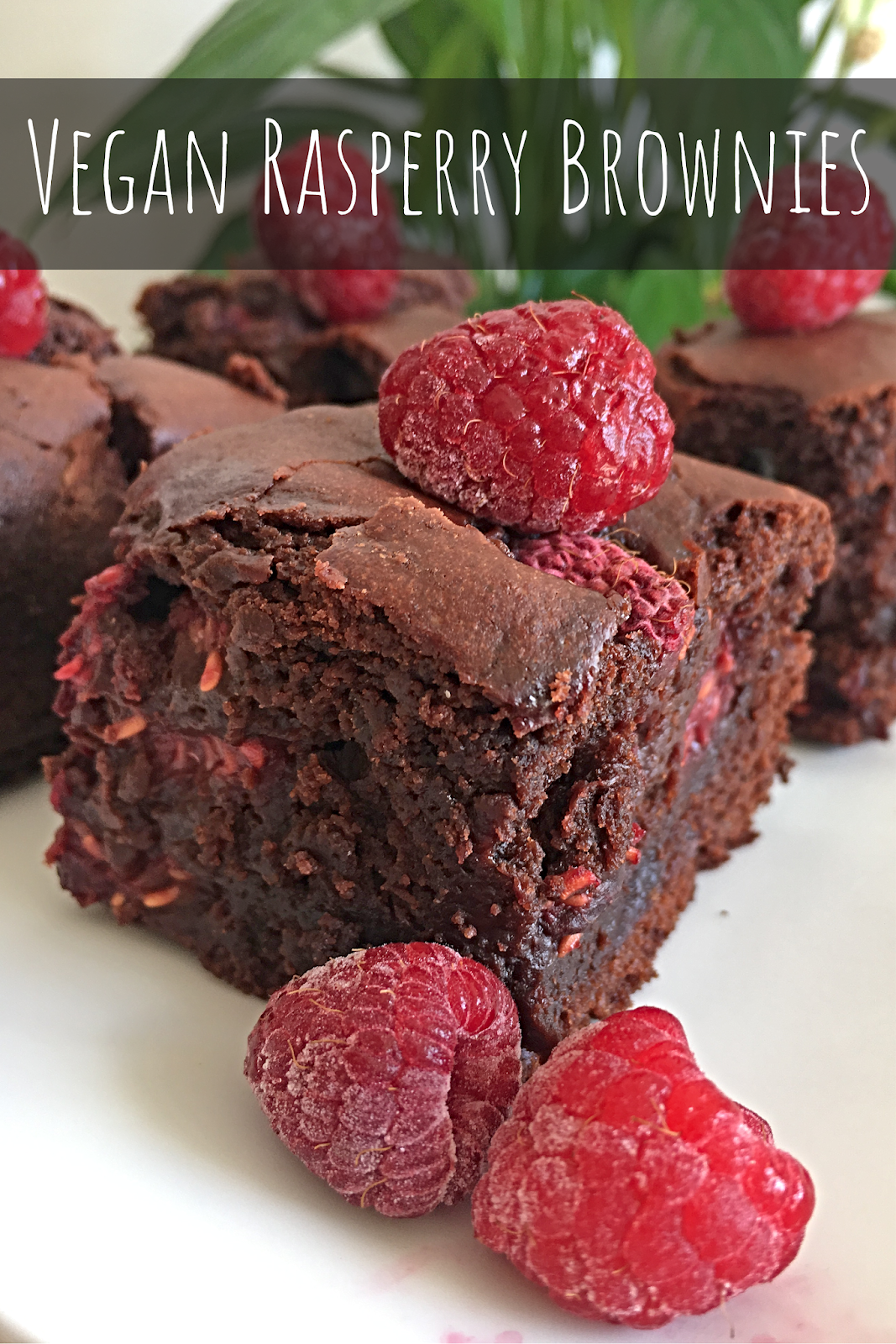 Vegan Raspberry Brownies | Susiechef