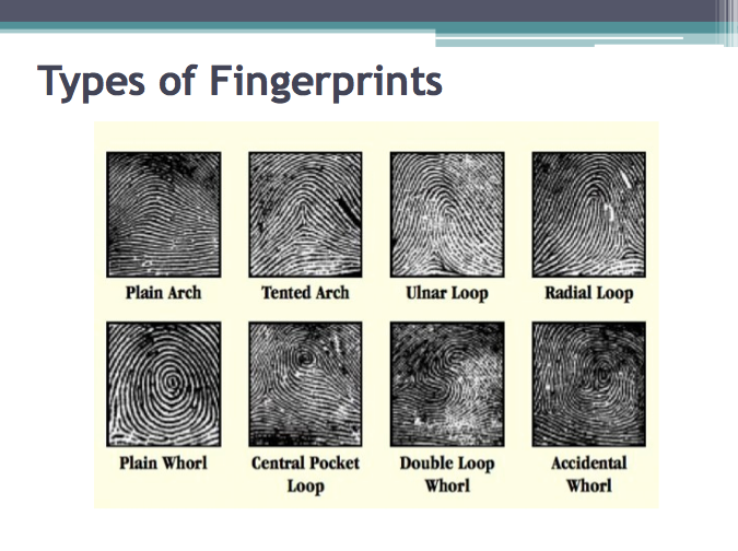 AnthroScopes : Sporadic Snapshots from around the Globe: An Overview of ...