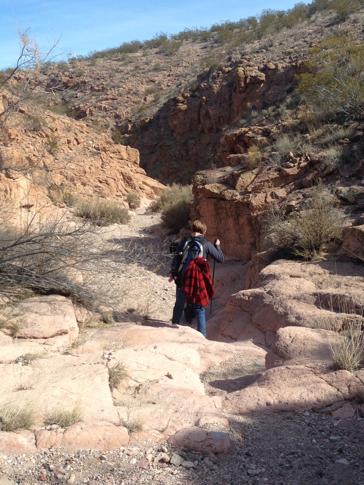 Southern New Mexico Explorer: Upper Faulkner Box Canyon- Organ ...