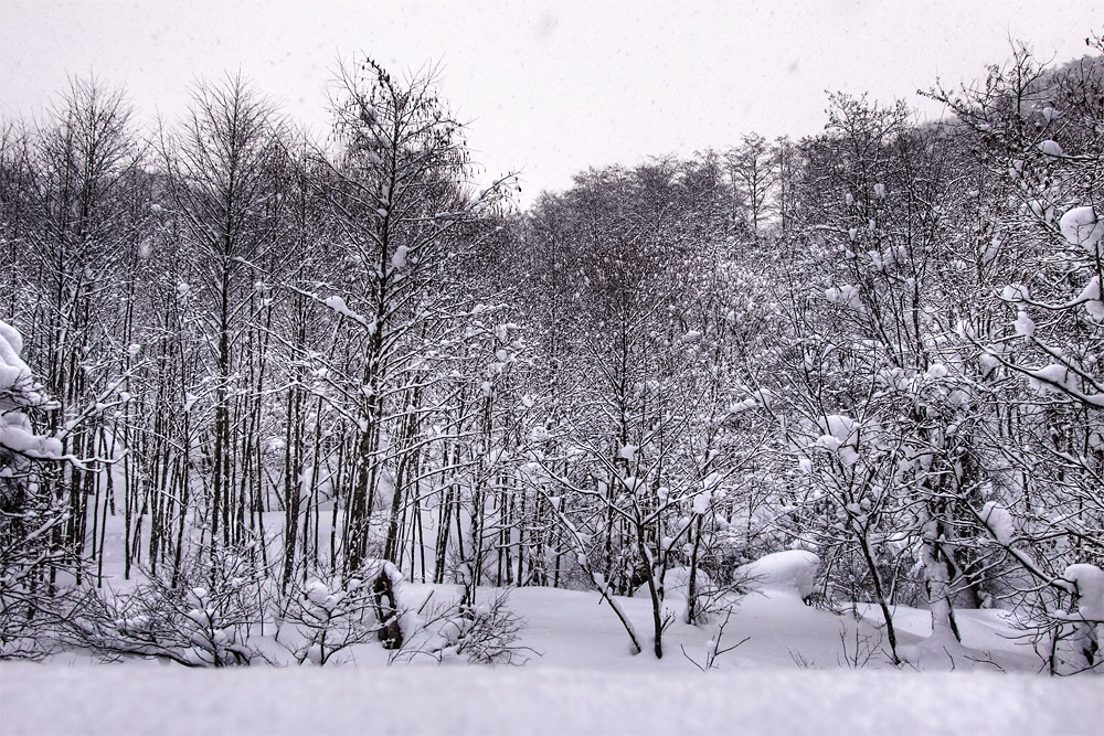 keanpoh Photographer: Winter Photography in Gunma 群馬, Japan