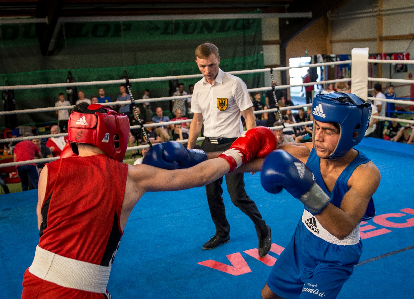 TageBilder: Boxen – BW-Meisterschaften Jugendklassen in Ruit