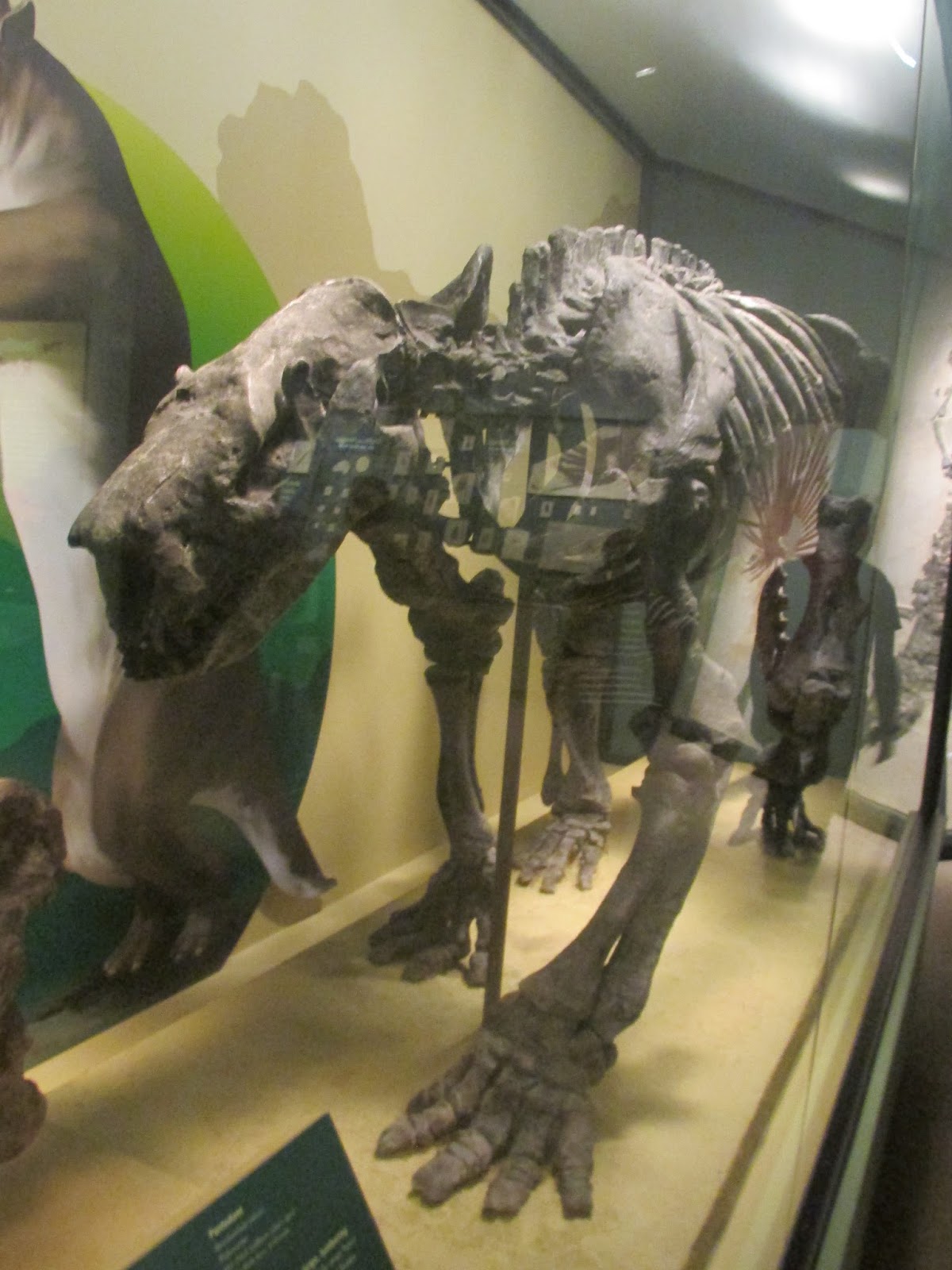 What happens when a non-accredited paleontology fan blogs: Species that ...