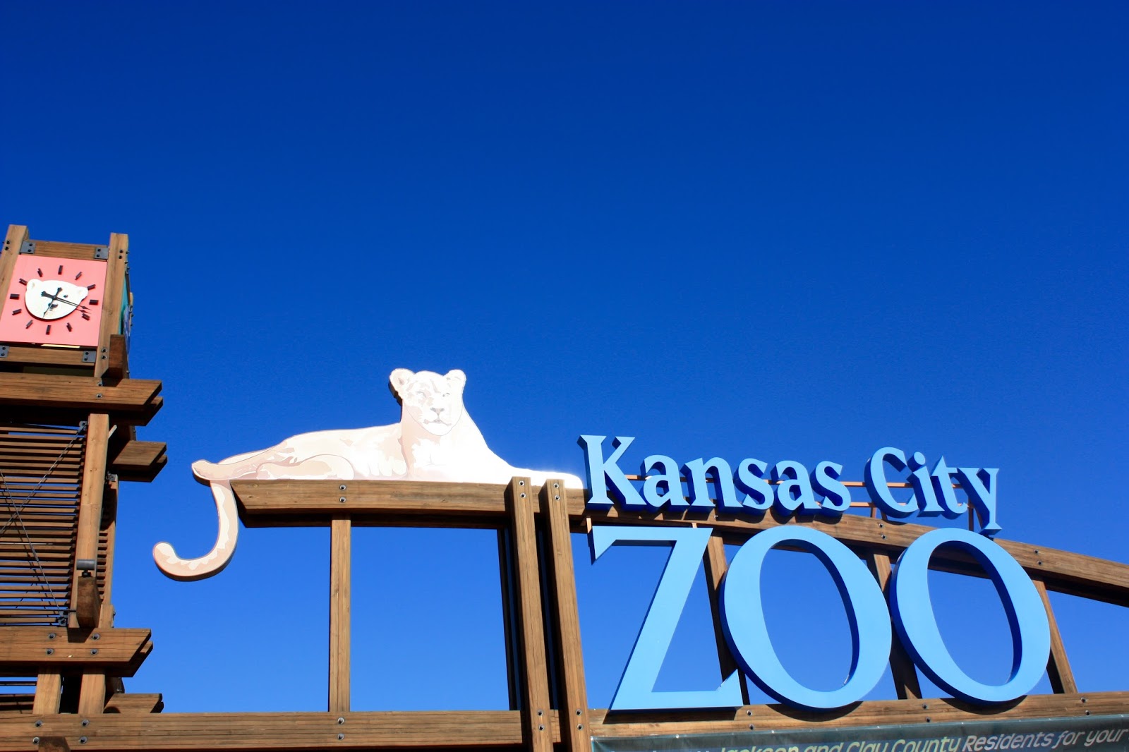 TravelBuggie91: The Kansas City Zoo