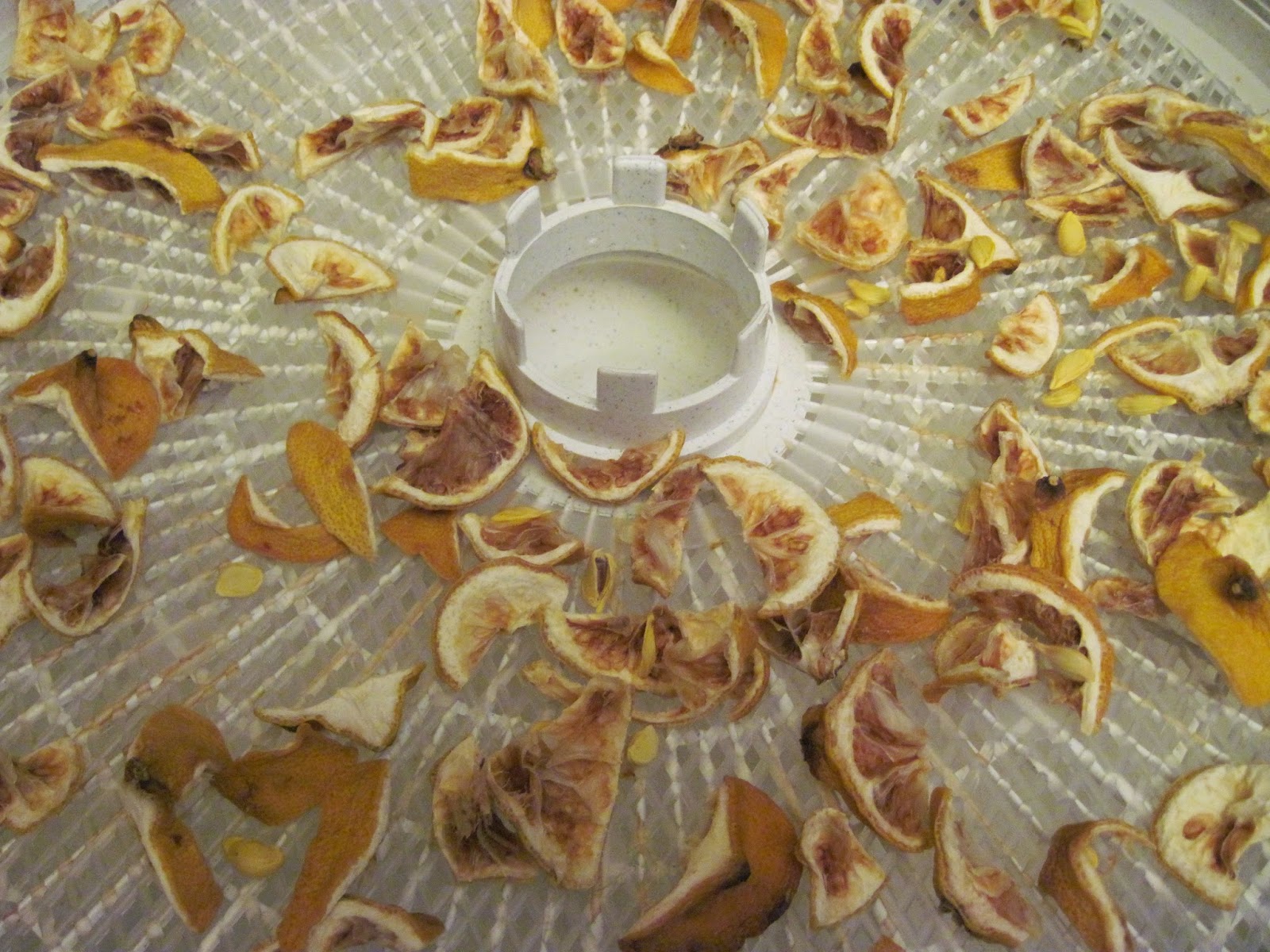 A Slice of Texas blog : DEHYDRATED LEMONS - Why I preserve lemons