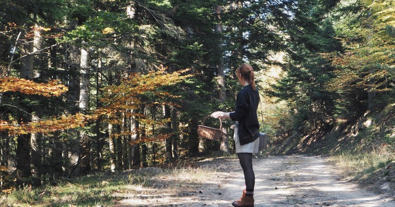 Promenade en forêt et cueillettes d'automne | Louise Grenadine - blog ...