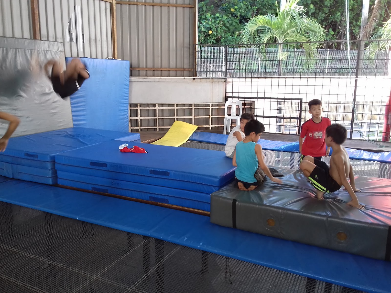 USPTN SELANGOR: PEMANTAUAN LATIHAN ATLET SUKAN TERJUN