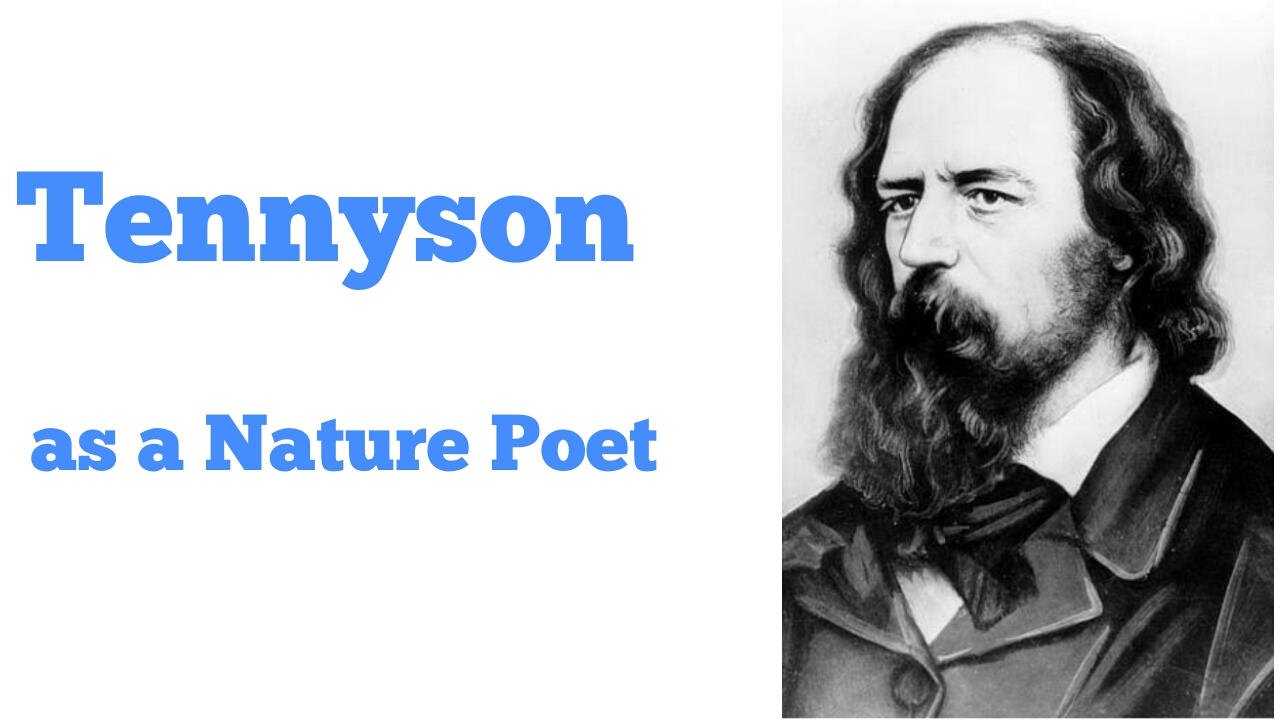 Tennyson as a nature poet. or Tennyson's attitude to nature.
