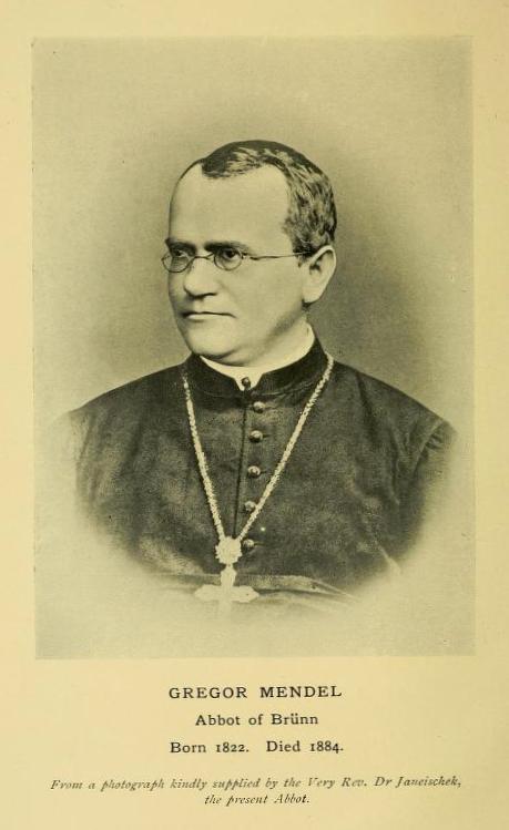 OpenUp! blog: Gregor Johann Mendel - born July 20th 1822
