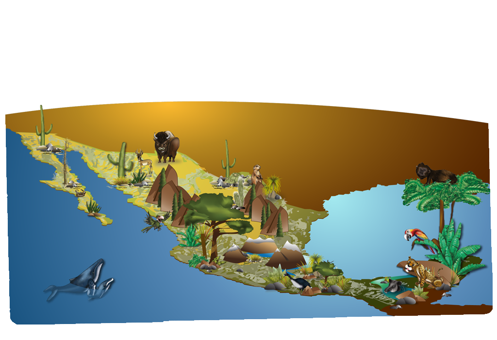 Top 141 + Mapa de mexico flora - Anmb.mx