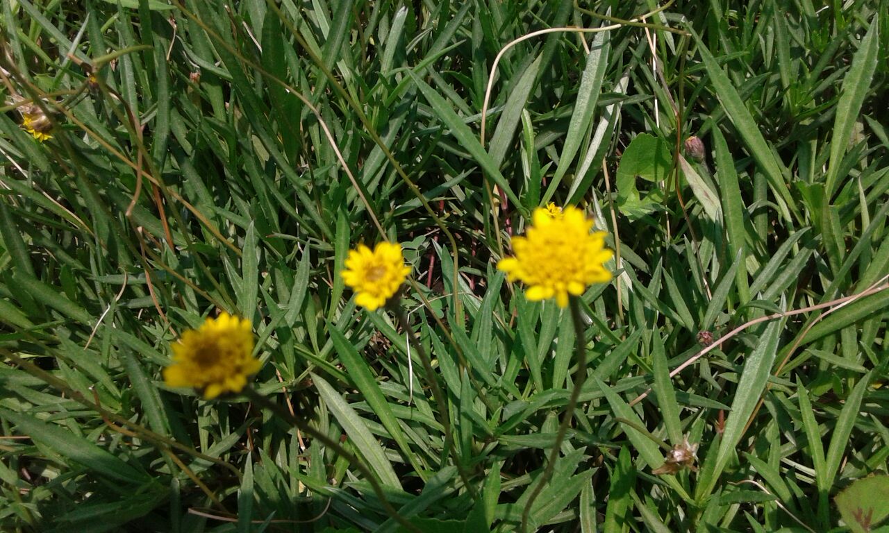 VISITA AL JARDÍN ETNOBOTÁNICO OAXACA