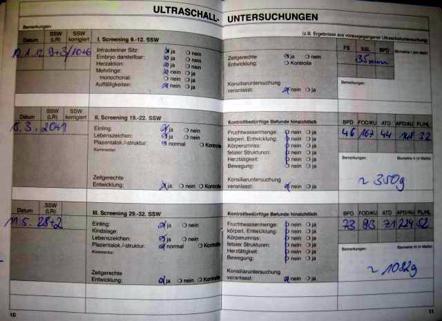 Berlinstadtbaby: Mutterpass