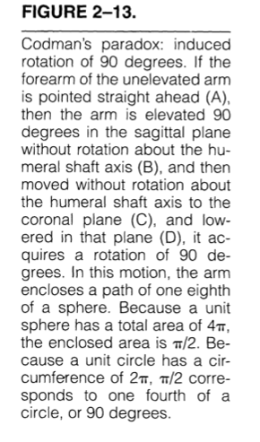 UW Shoulder and Elbow Academy: On the hypotheses that determine the ...