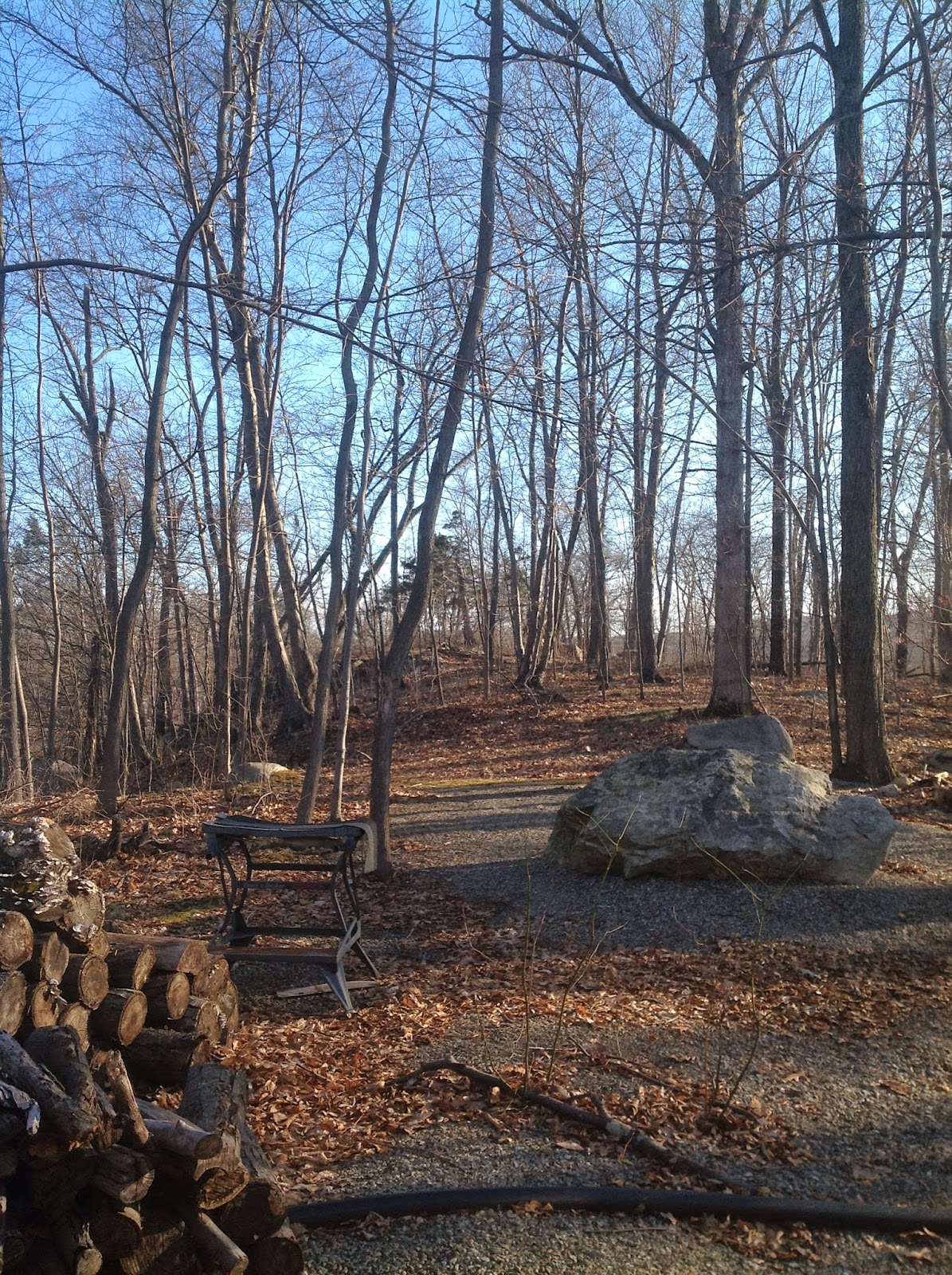 Ruben.aponte.argenius.101