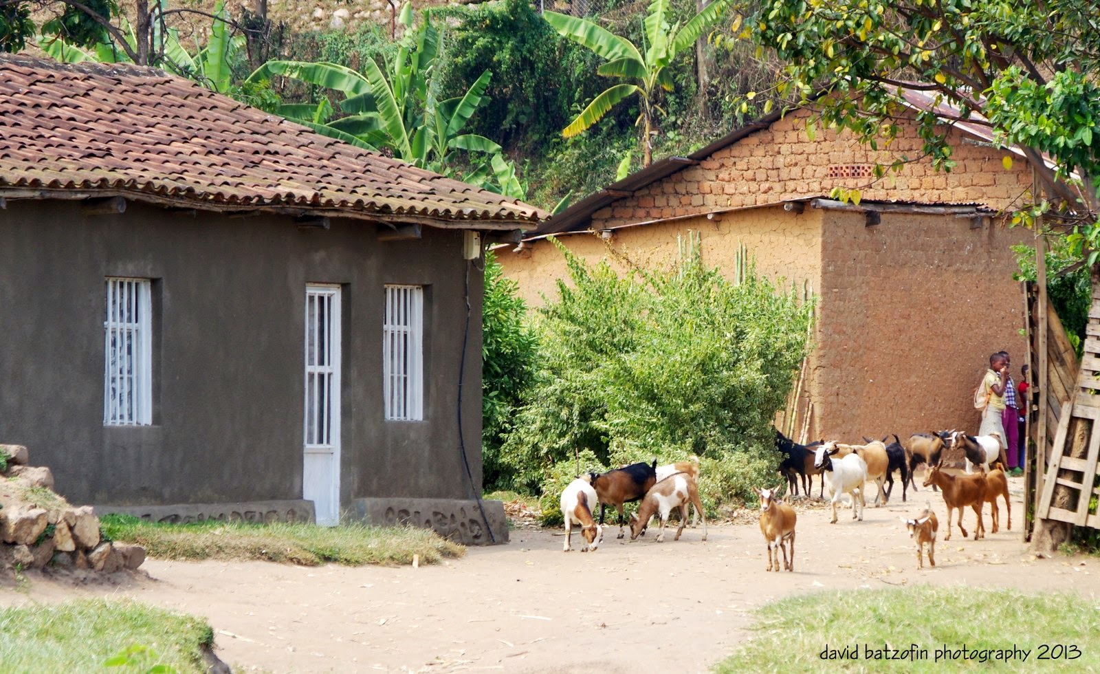 Our day tour in Gisenyi, Rwanda - Travel & Things