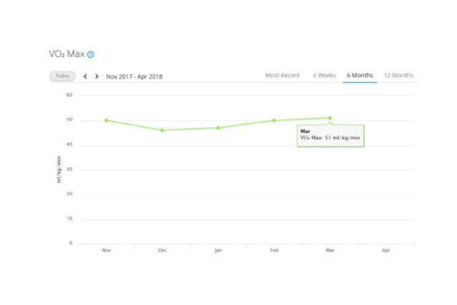 Running Without Injuries: AltRed Betalains Review