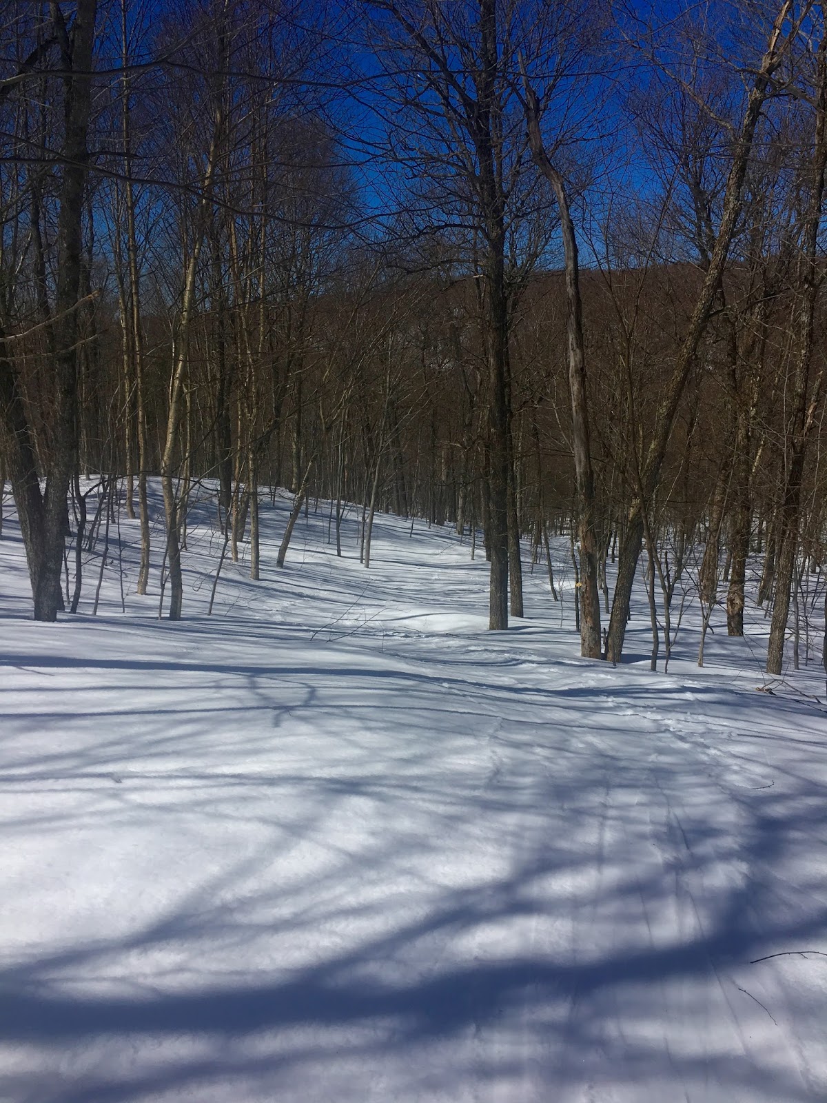 Skiglisse: Au sommet de la montagne Grise