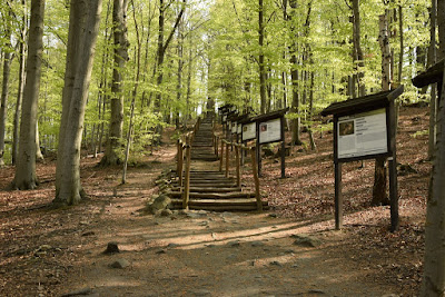 W górach jest wszystko, co kocham: Gromnik i Ostra Góra (Wzgórza ...