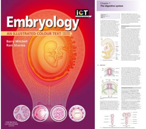 Embryology. An illustrated colour text - Books And Magazines