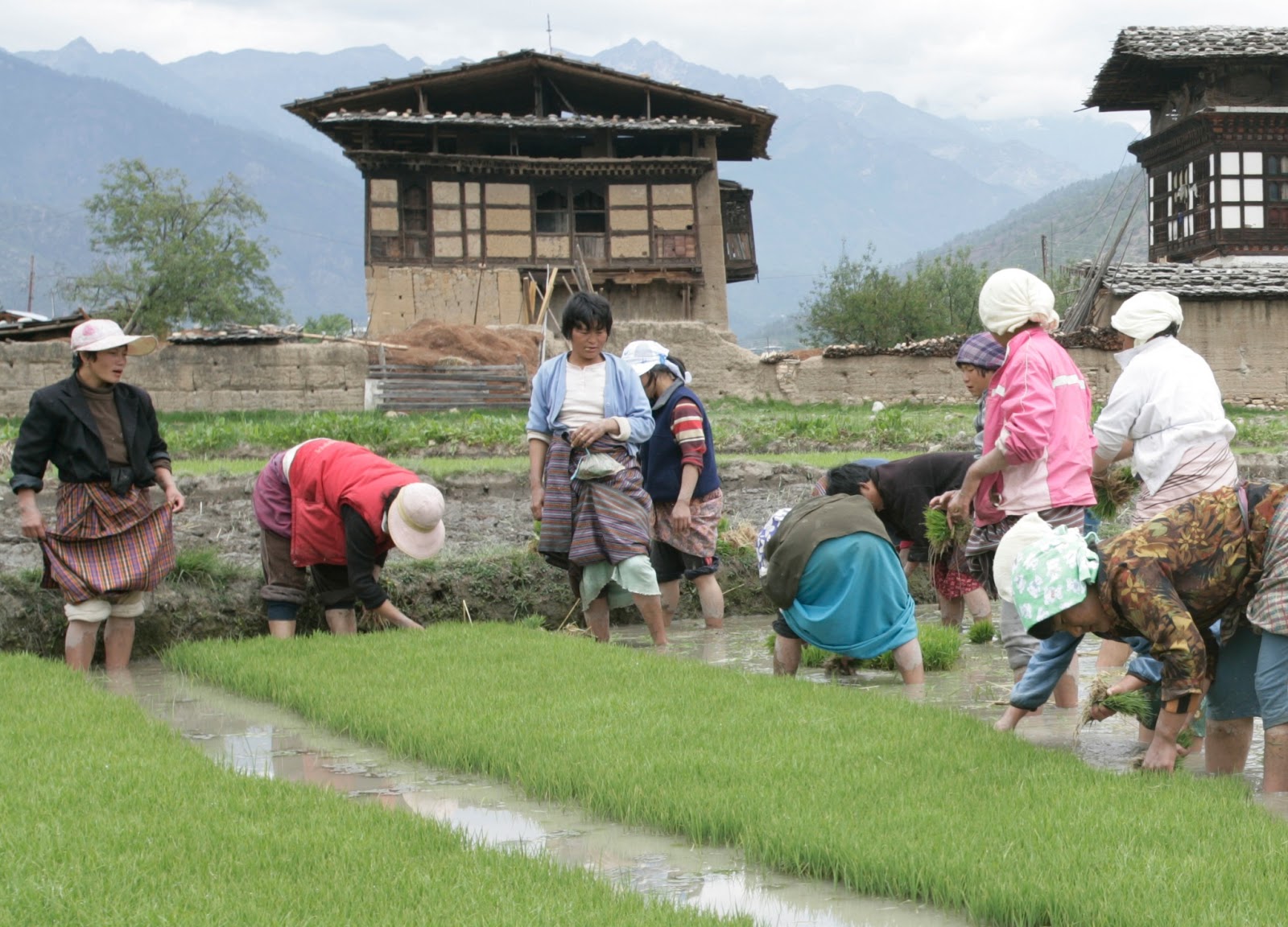 People of Bhutan : Bhutanese - Where Is BHUTAN