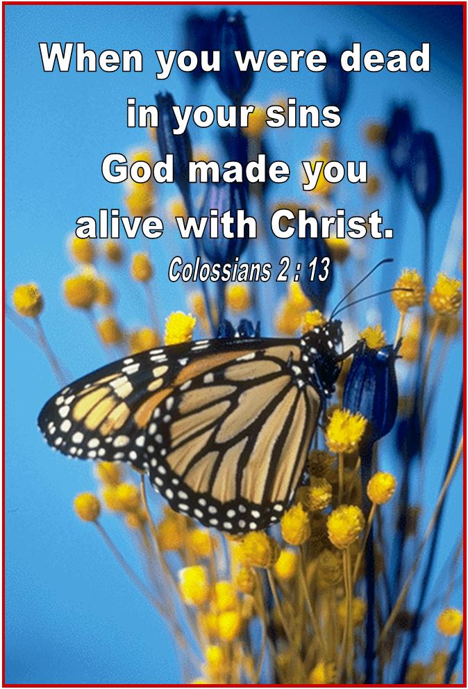 Share My Journey: Colossians 2:13