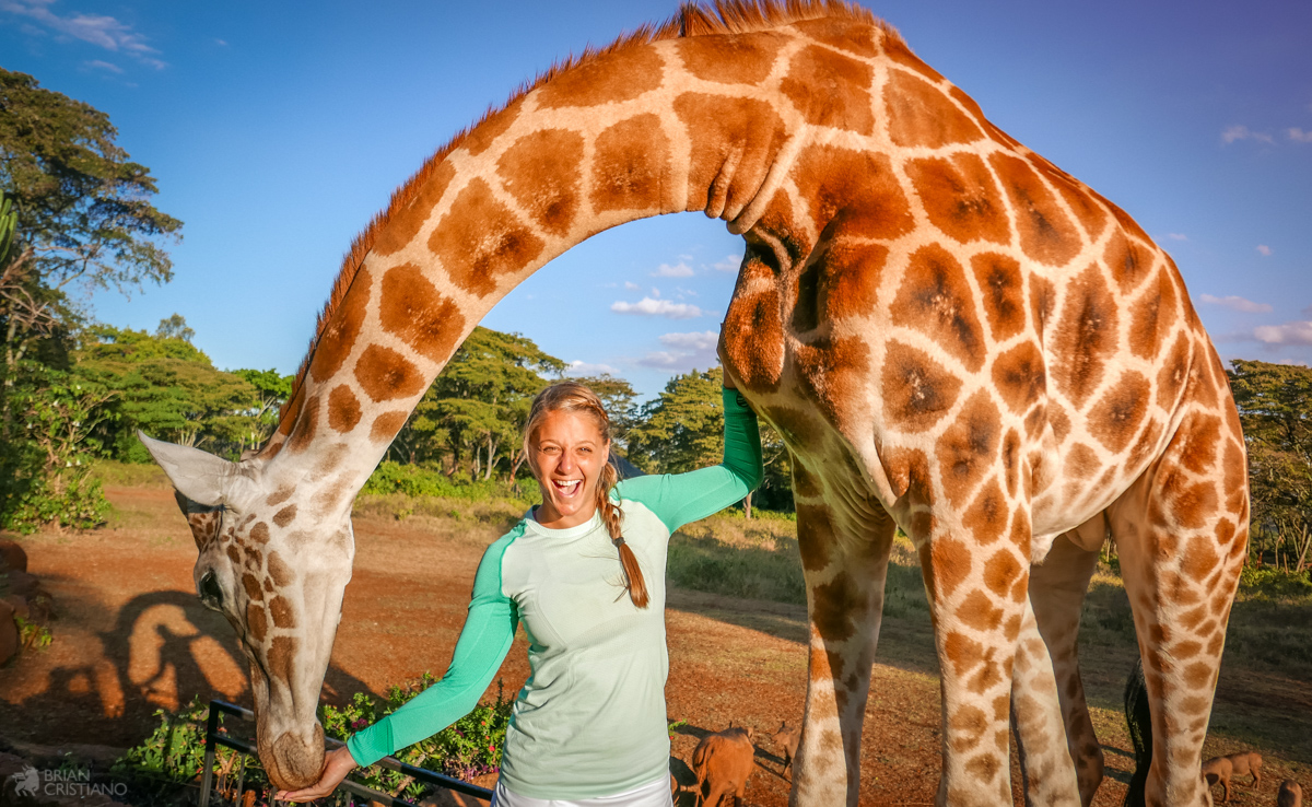 GEOGRAFI LINGKUNGAN: JERAFAH : MAMALIA BERLEHER PANJANG DARI AFRIKA