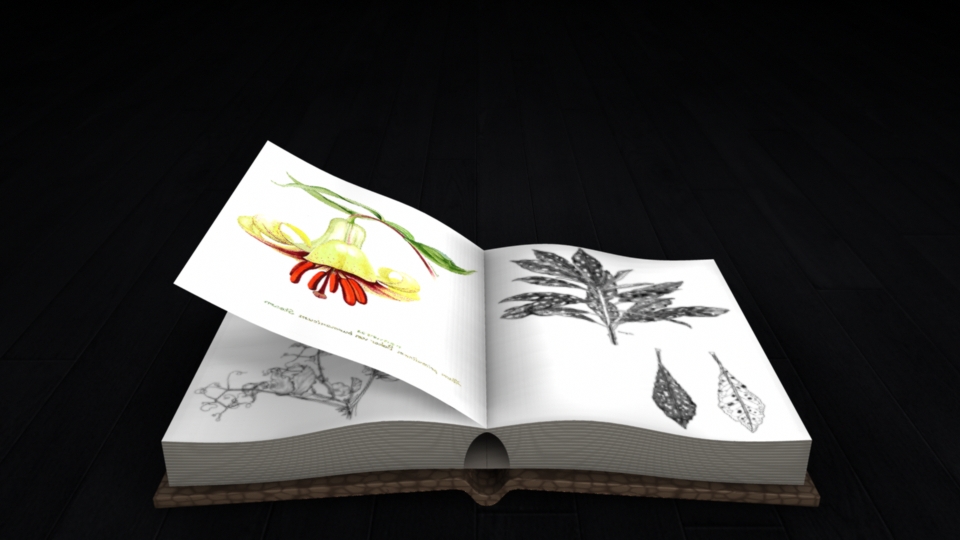 Burokas Design: Book render