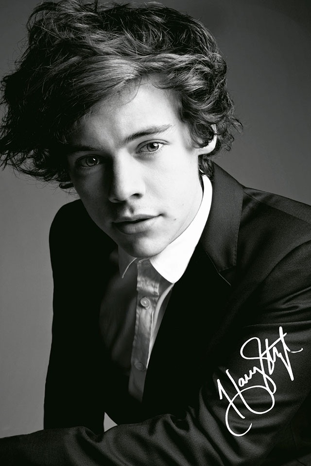 Harry Styles facts: Harry Edward Styles Profile