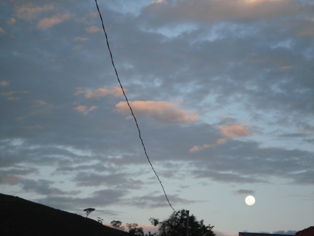FLORA DA SERRA - Raízes da Mantiqueira: LUAR DO SERTÃO