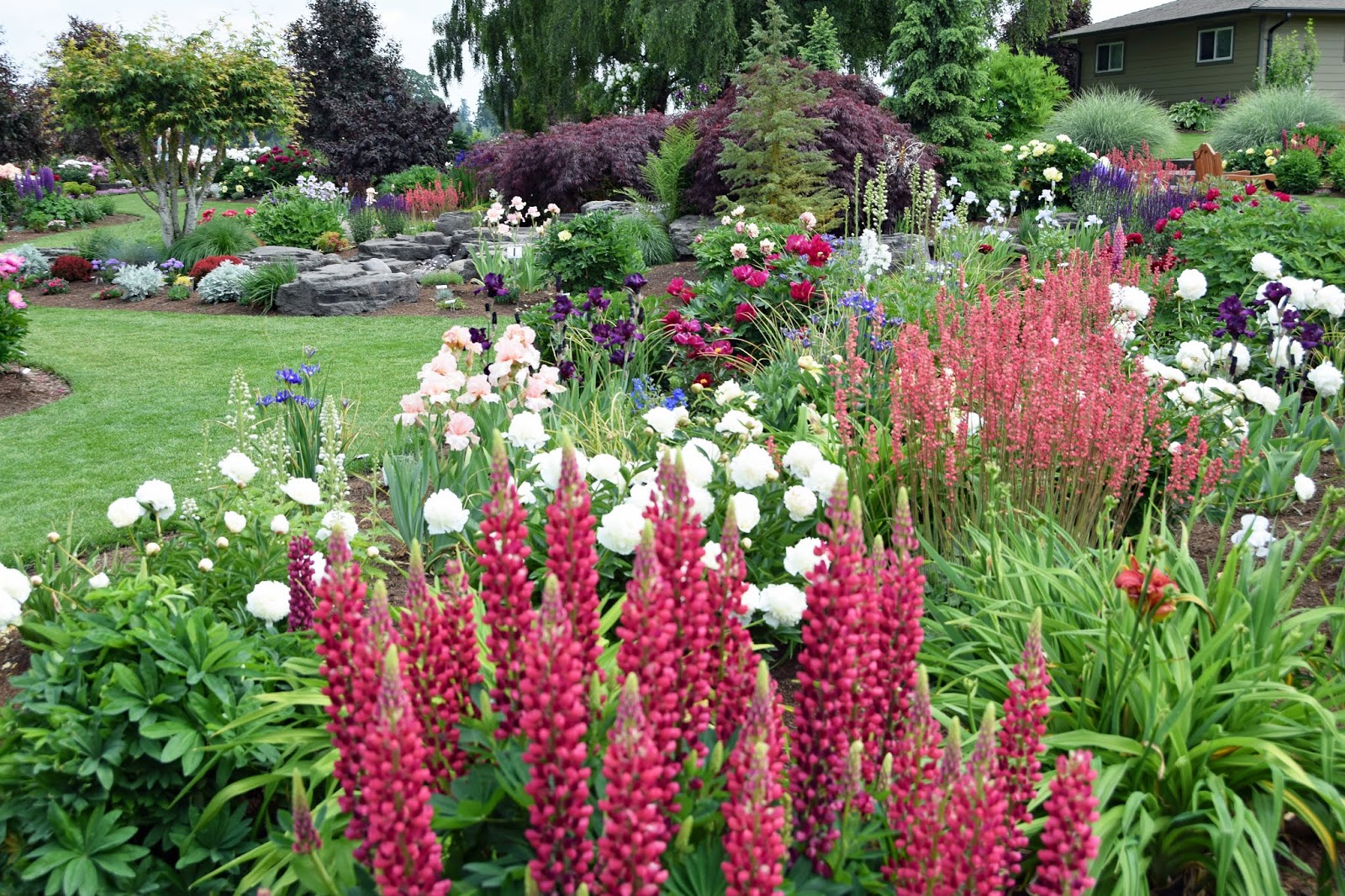 Southern Peony: May 2018