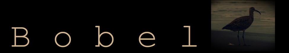 [̲̅p̲̅][̲̅r̲̅][̲̅o̲̅][̲̅g̲̅][̲̅r̲̅][̲̅e̲̅][̲̅s̲̅][̲̅i̲̅][̲̅v̲̅][̲̅o̲̅ ...