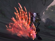 WoW Rare Spawns: Unique Hunter Pets