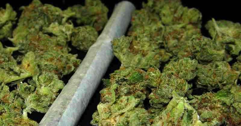 Intervencion de Adicciones: Descripción de las drogas y daños fiscos ...