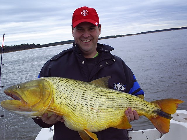 ROTA DA PESCA: PESCA DO DOURADO