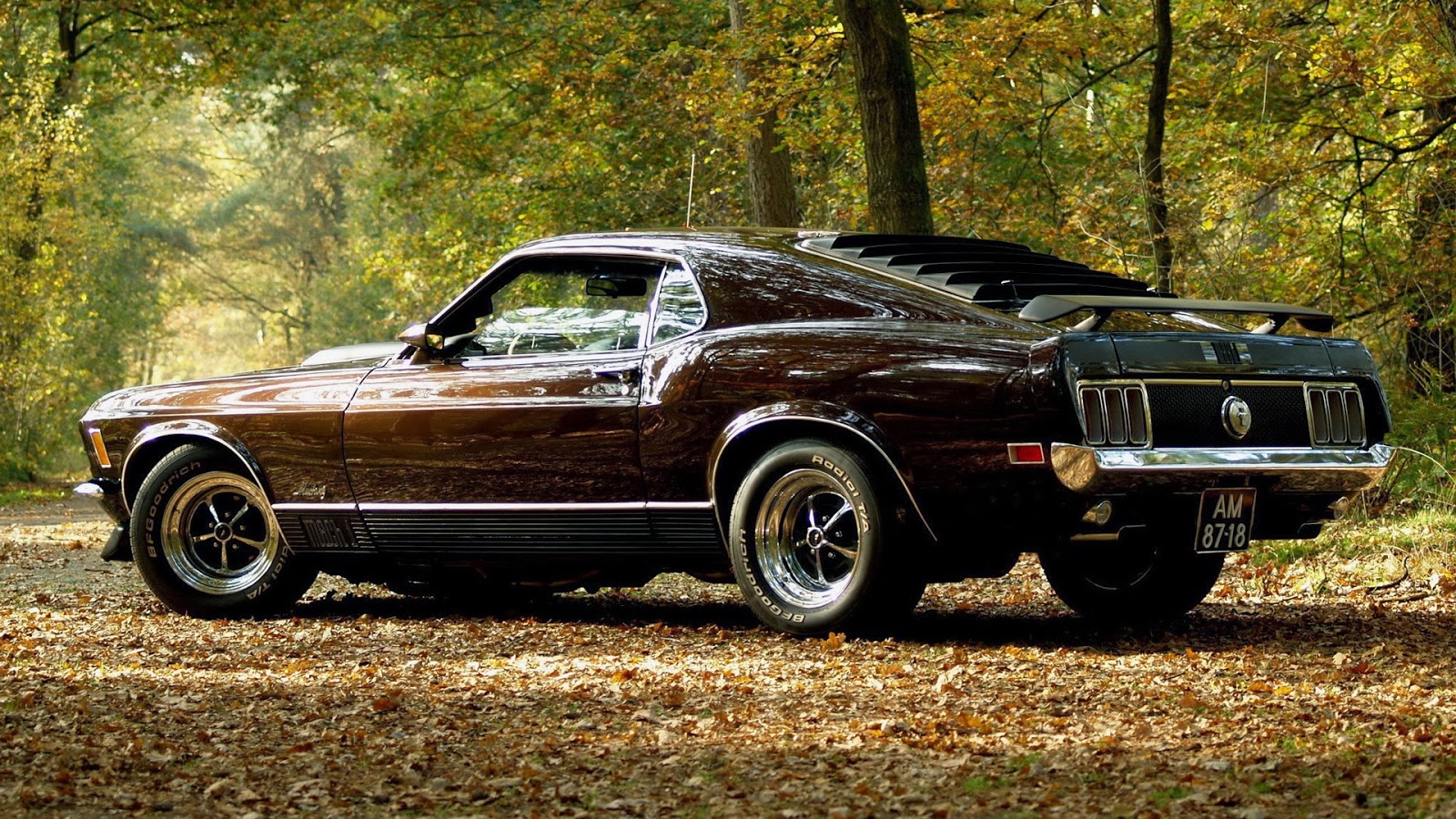CaraibiRockers: Mustang