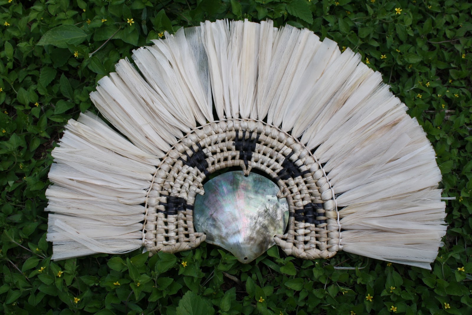 Melissa's Adventures in Tonga: Ten Things I've Loved About Tonga