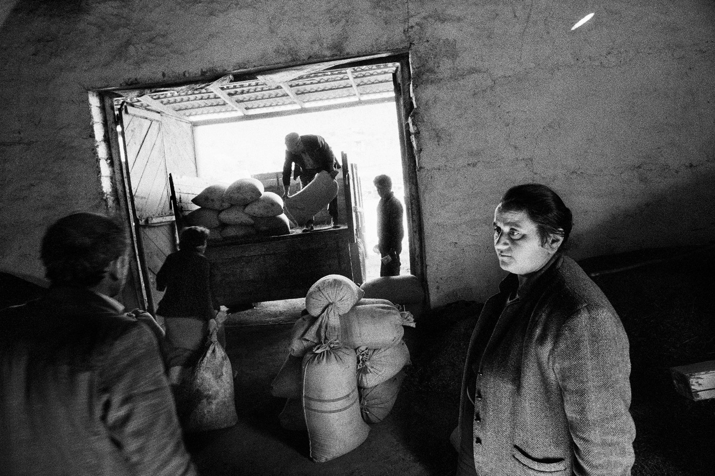 Bruce Haley - Alchetron, The Free Social Encyclopedia