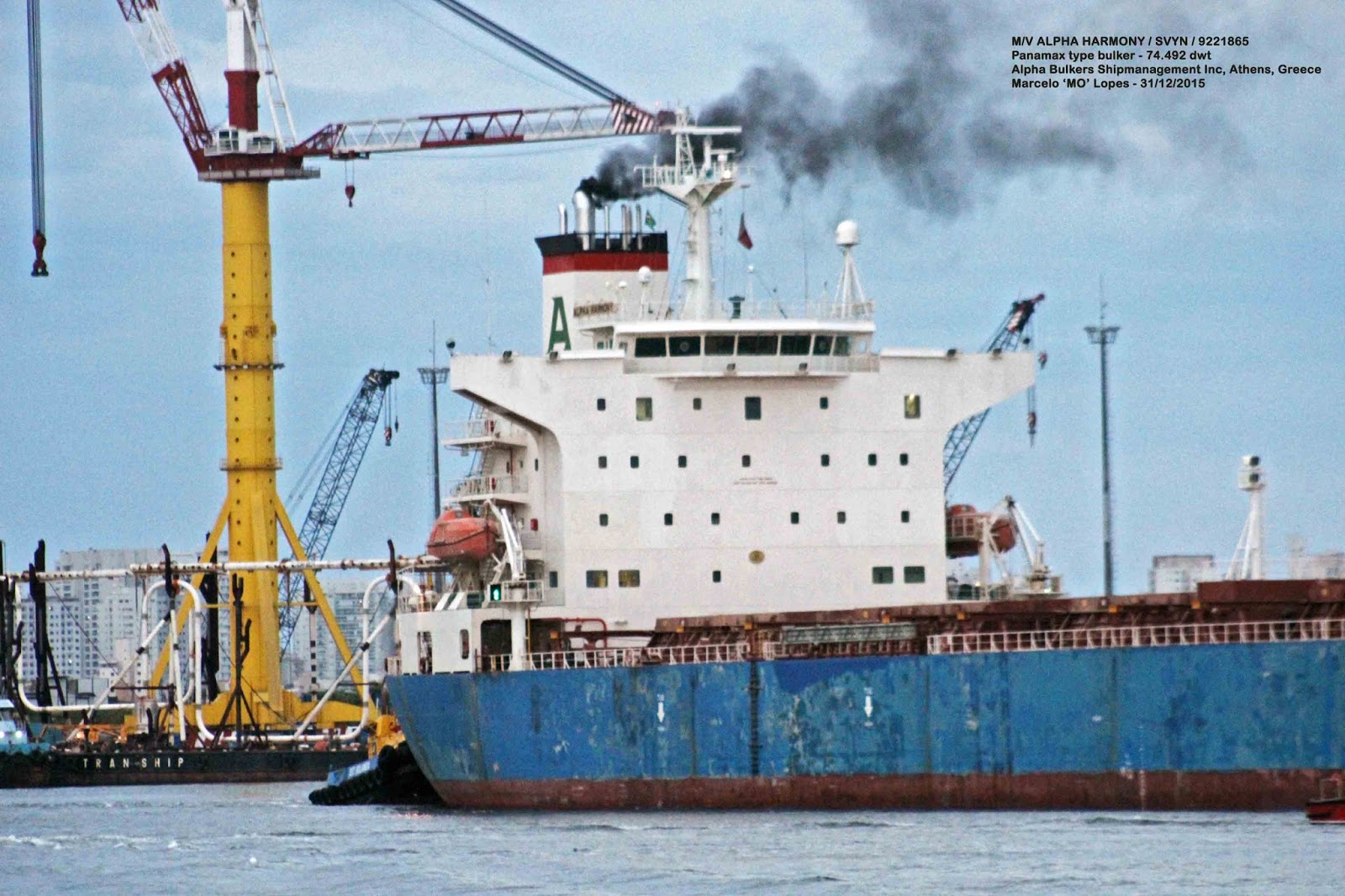 Santos Shiplovers: M/V Alpha Harmony / SVYN - Suspendendo na noite de ...