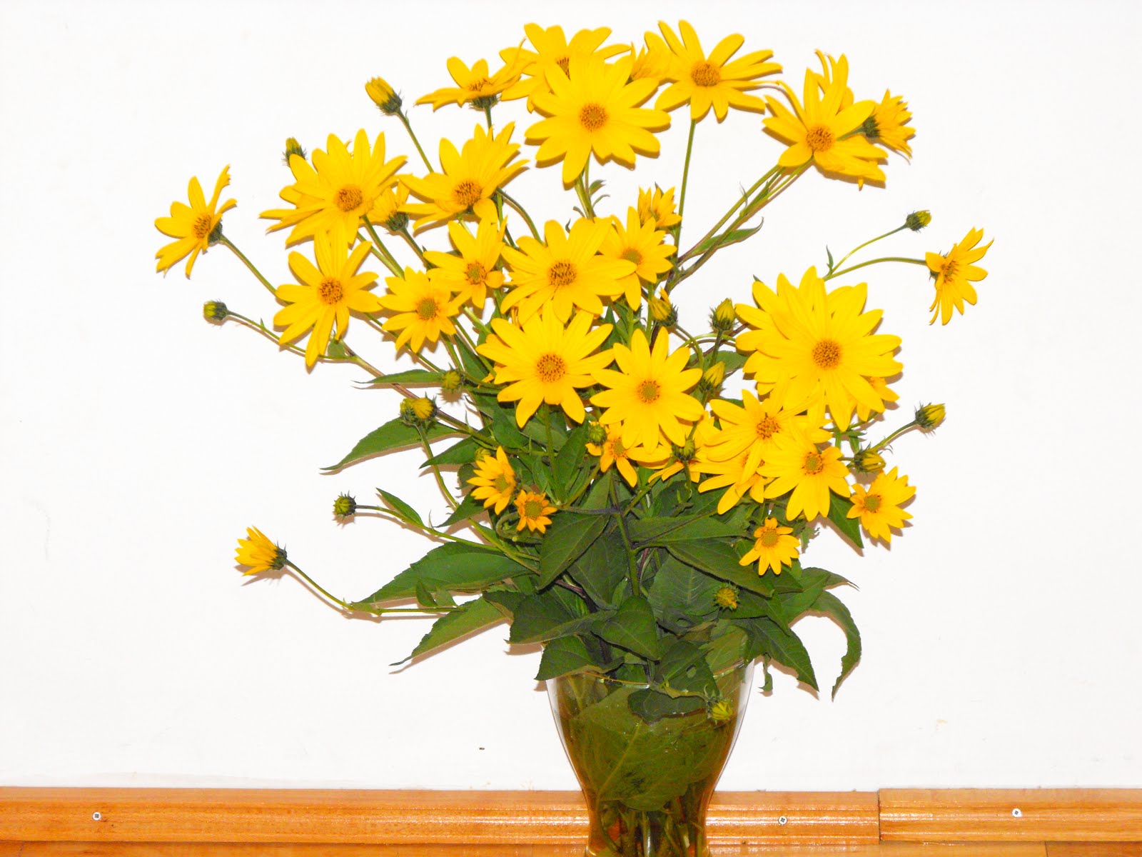 Pasiuni de odinioara: NAPI. FLORI DE NAPI...