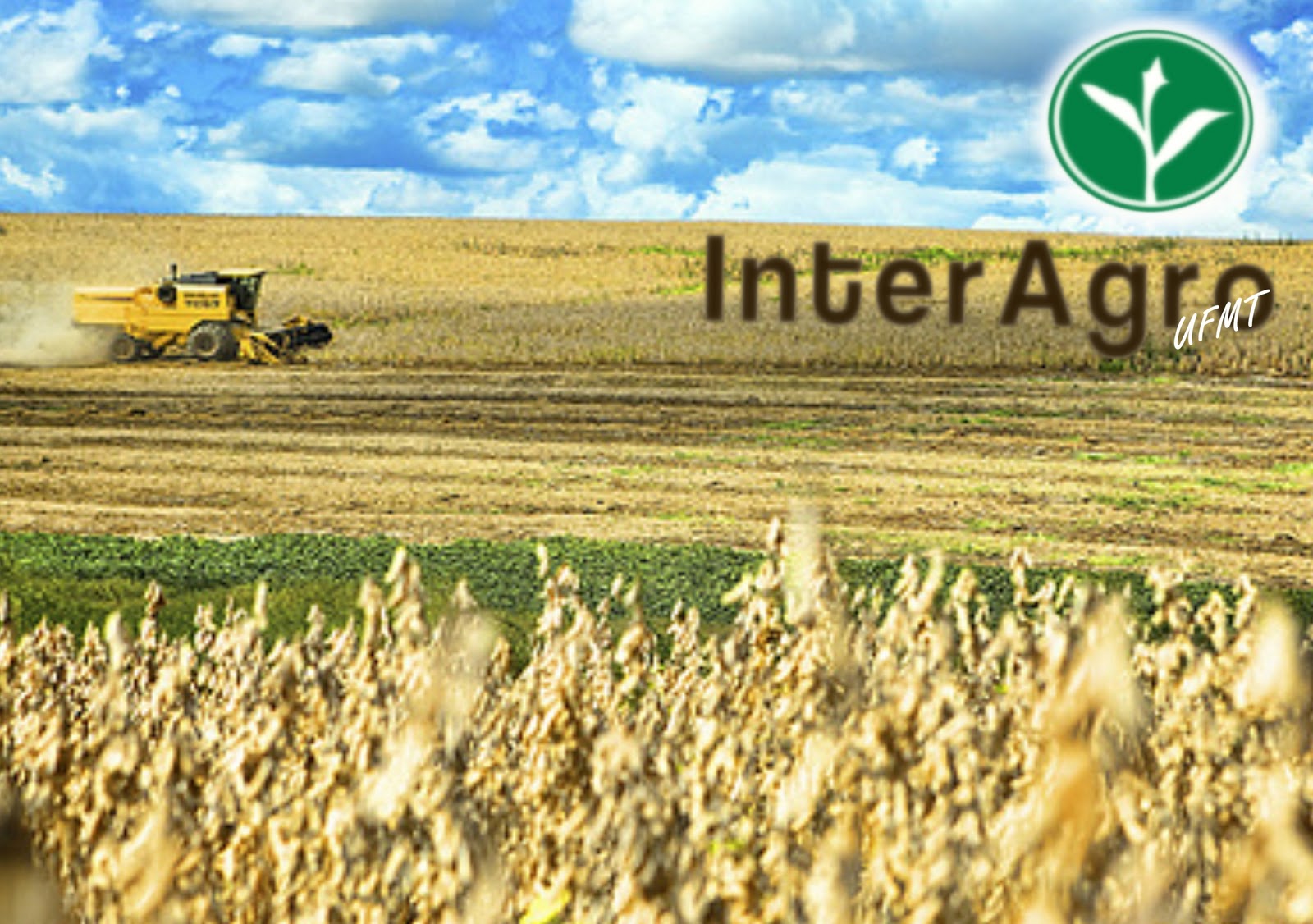 InterAgro: Papéis de Parede InterAgro 2011