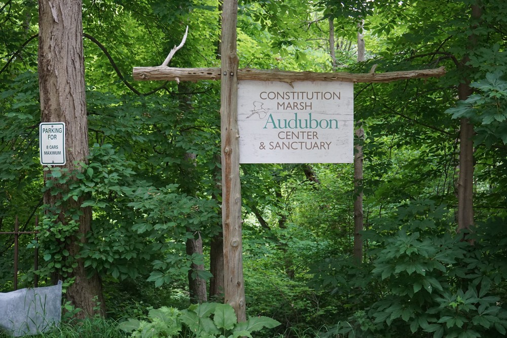 Harriman Hiker: Harriman State Park and Beyond: Constitution Marsh ...