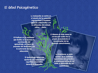 El Paradigma Psicogenético: El Paradigma en la educación.