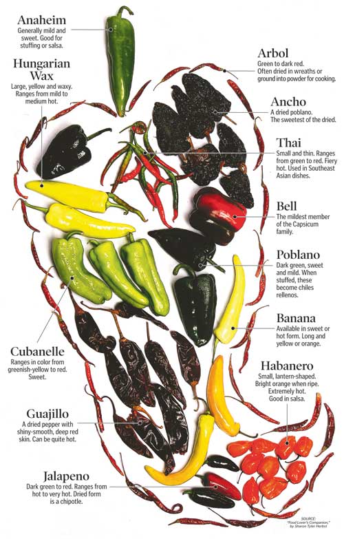 Carole's Chatter: Types of chillies - getting ready for the next Food ...
