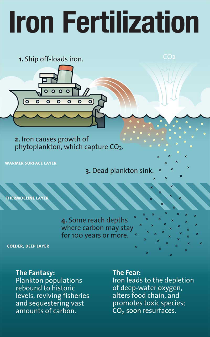 Weekly Science Quiz: The Antarctic Paradox