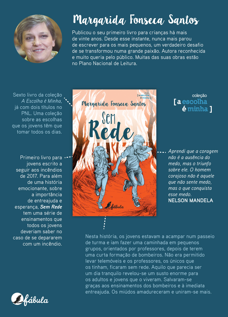 Sem Rede de Margarida Fonseca Santos ~ Livros Nas Estrelas