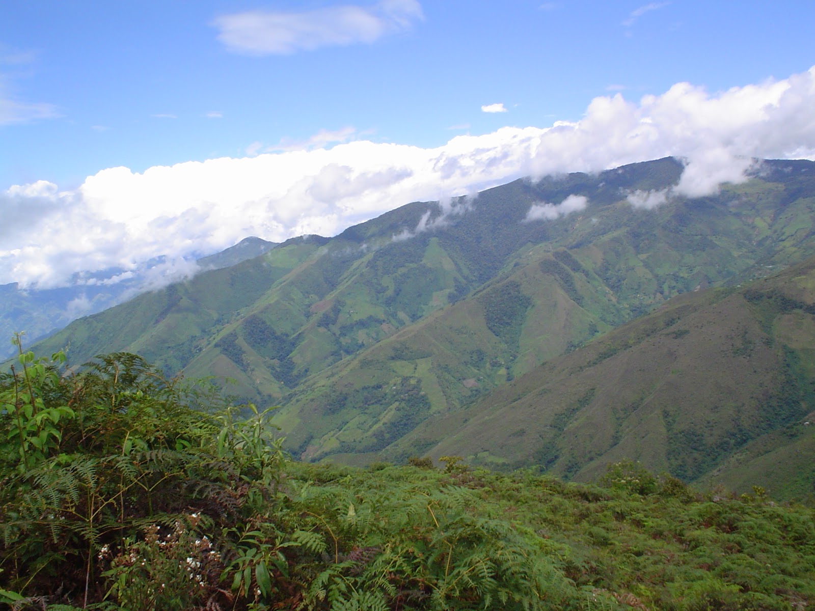 SANTA RITA DE ITUANGO ANTIOQUIA, COLOMBIA.(HOY SANTA RITA DE SINITAVÉ ...