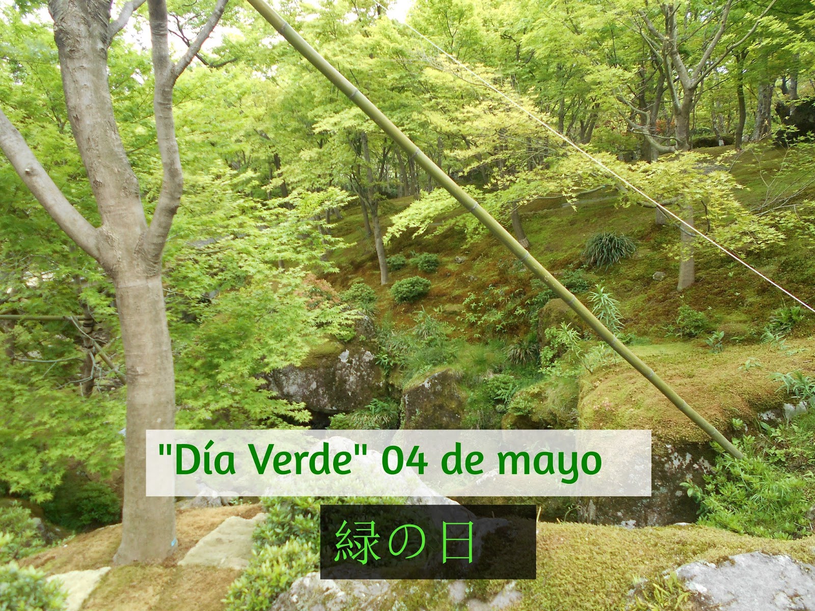 KSP Japón y Cultura por Rosa María Sakuda: 4 de mayo “ Dia Verde”
