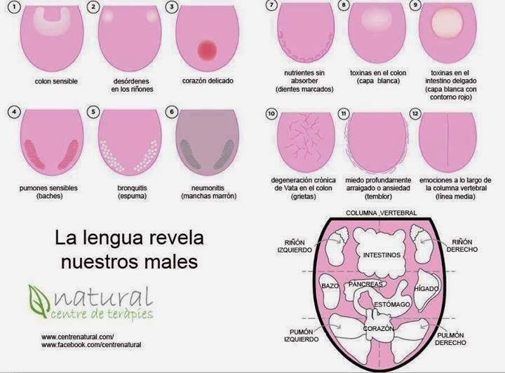 La salud mediante la lengua